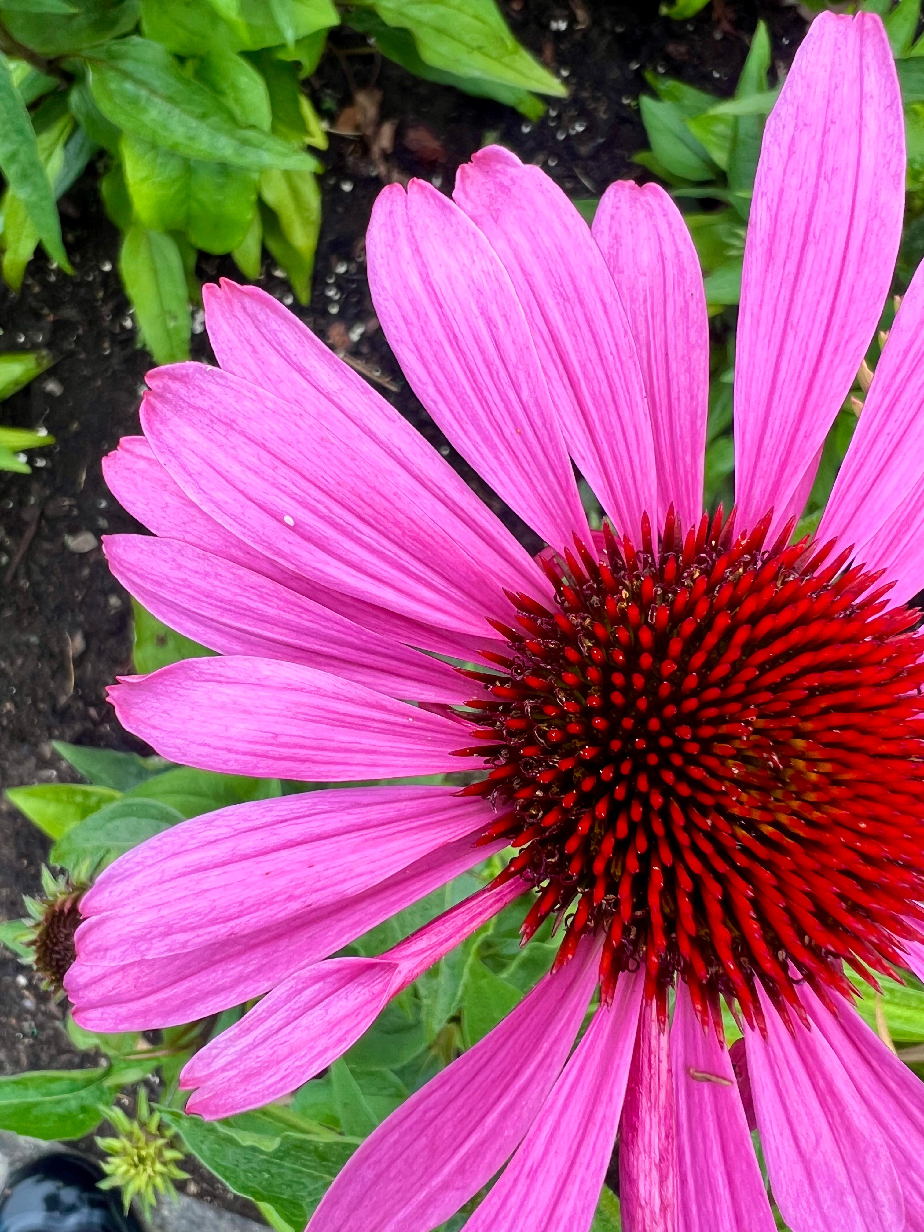 Your Guide to Exquisite Corpse – Art Life Practice